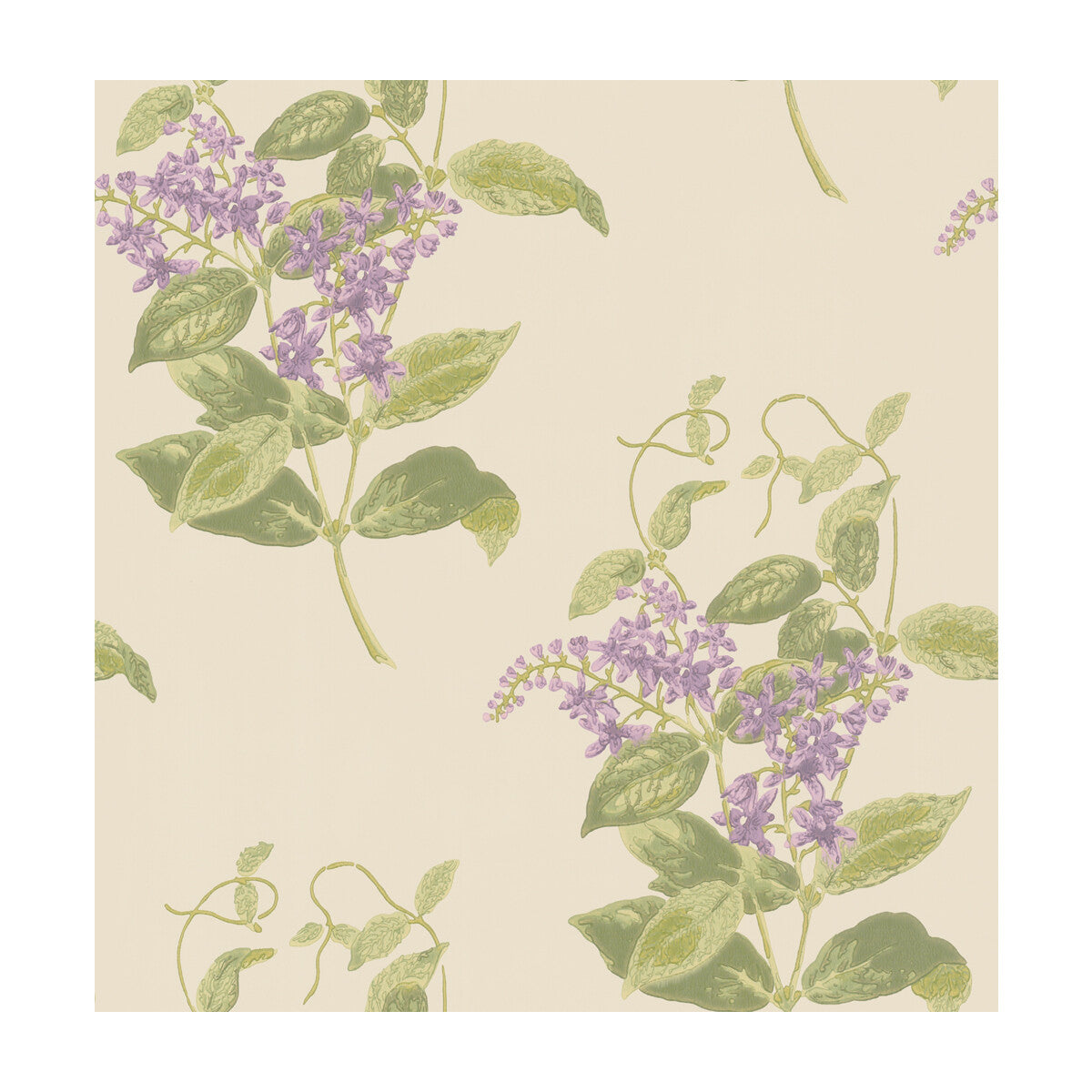 COLE & SON MADRAS VIOLET OLIVE & LAVENDER – Designer Fabrics USA